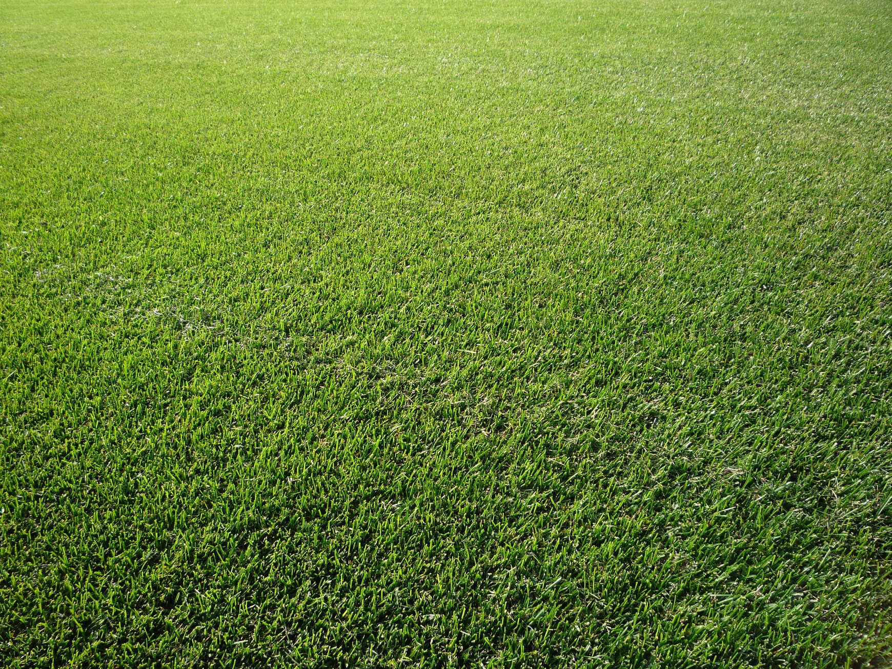 Richtiges verlegen und pflegen von Roll- und Fertigrasen